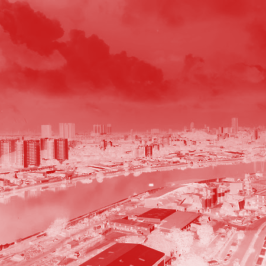 Tikender Singh Panwar | Unbound