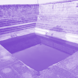 Tikender Singh Panwar | Unbound